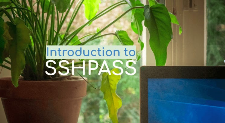Effortlessly Accessing Elasticsearch With Python By Anurag Srivastava Level Up Coding