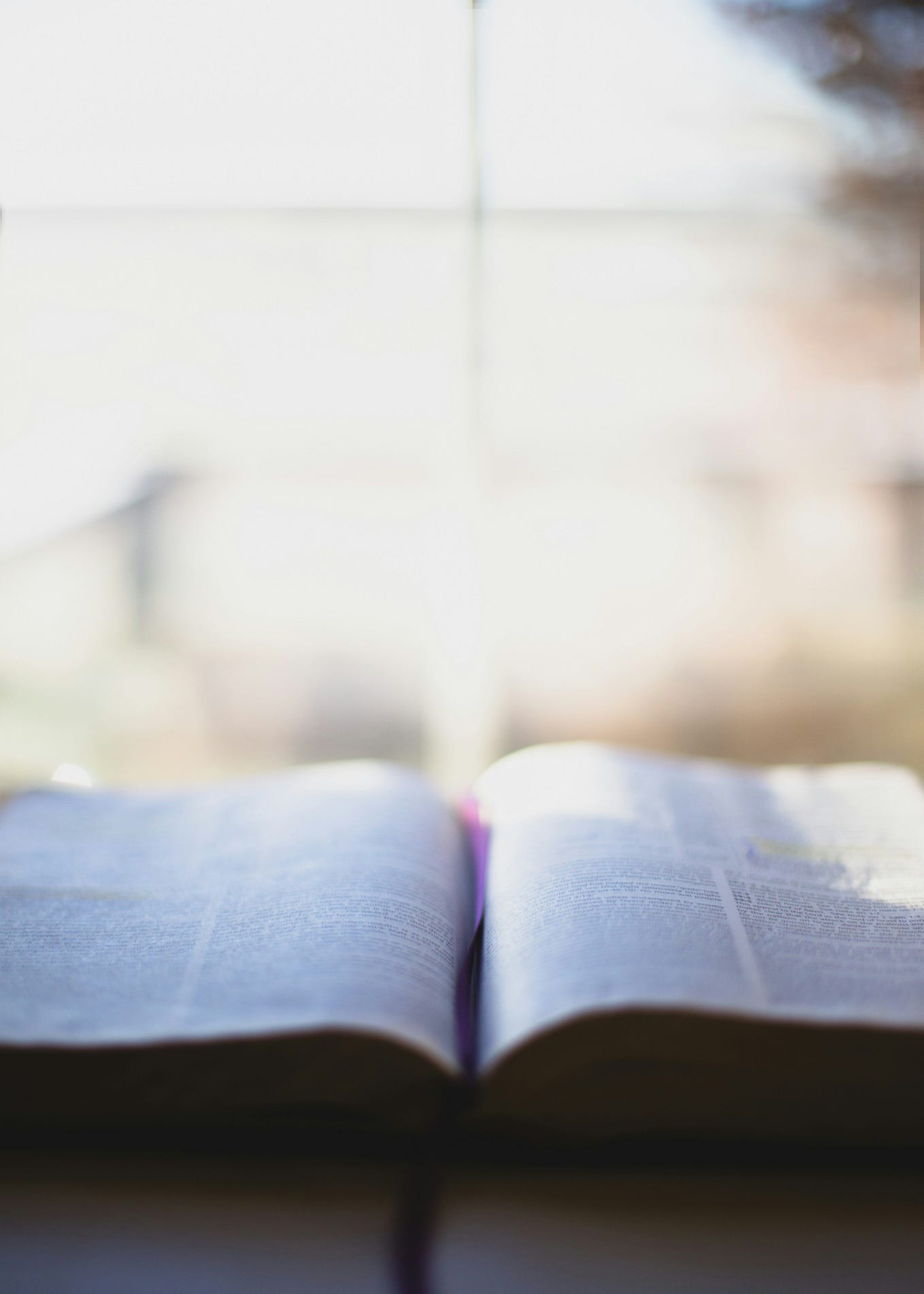 The 5 most famous laws in the world you should know | by Aliya 📚🖊️ ...