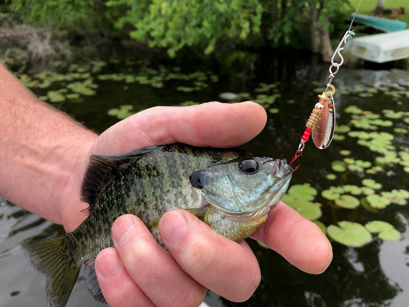 Buying Fishing Hooks Online: A Guide to Quality and Convenience with ...