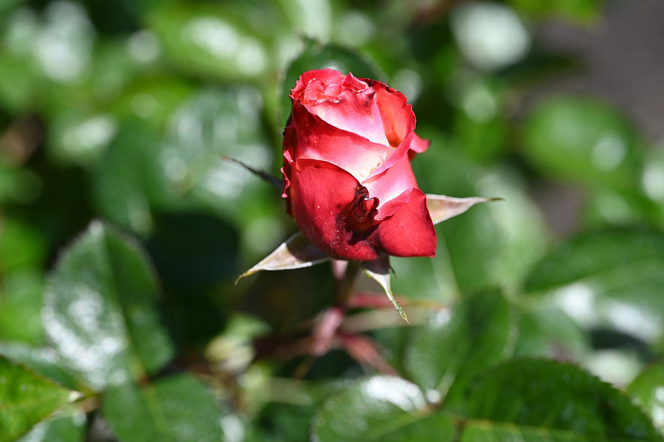 I like your usage of humor as emotional grounding, Jay. The moments of ...