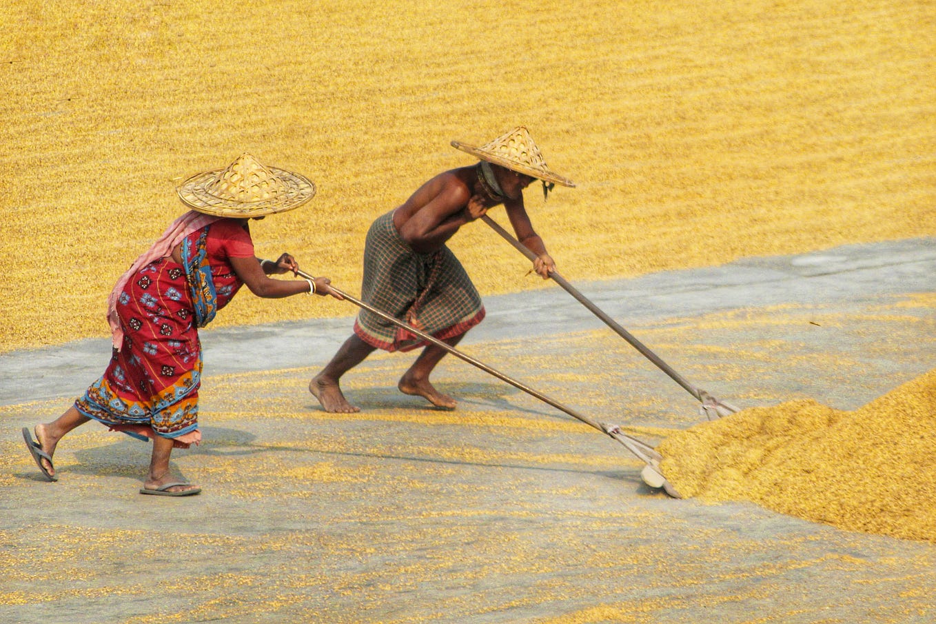 “A Childhood Memory: Fishing, Pain, and Resilience” | by Simhachalam ...
