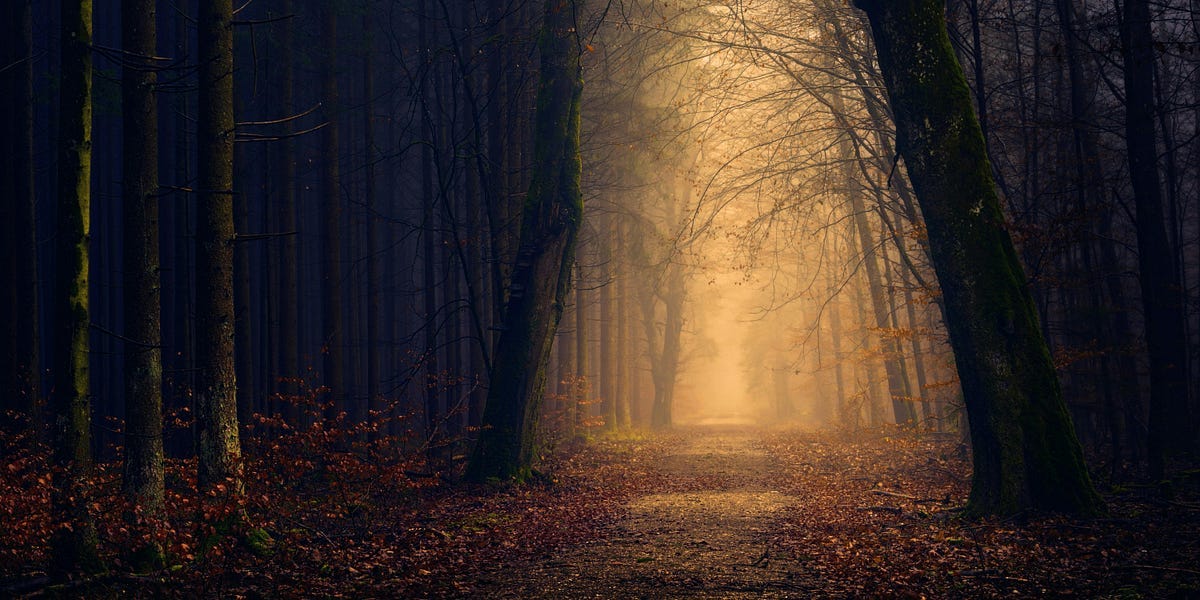 What The Heck Is A Db File Why Sql Developers Keep Running Into By Shaun Fulton Medium