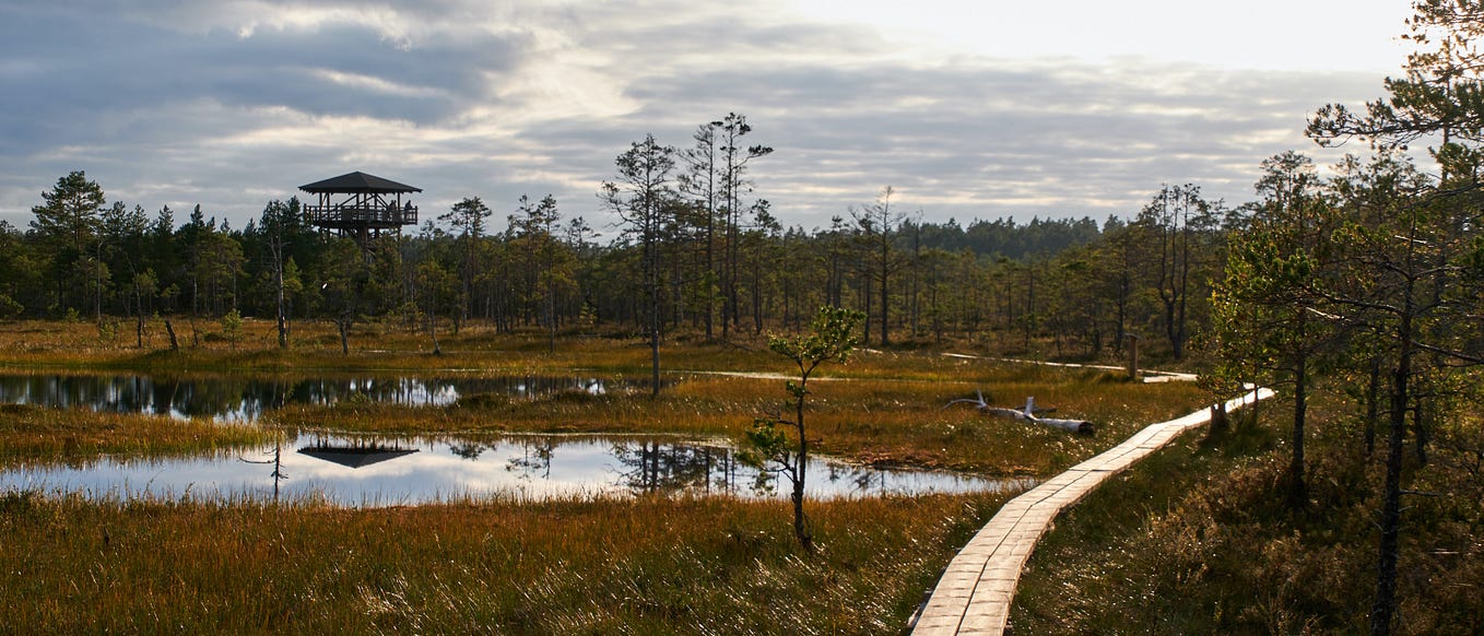 Replace Grammarly Premium with OpenAI ChatGPT | by Sung Kim | Geek ...