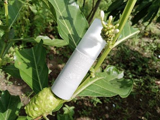 Cara Menulis Review Skincare yang Baik dan Menarik | by Pipit ZL | Medium