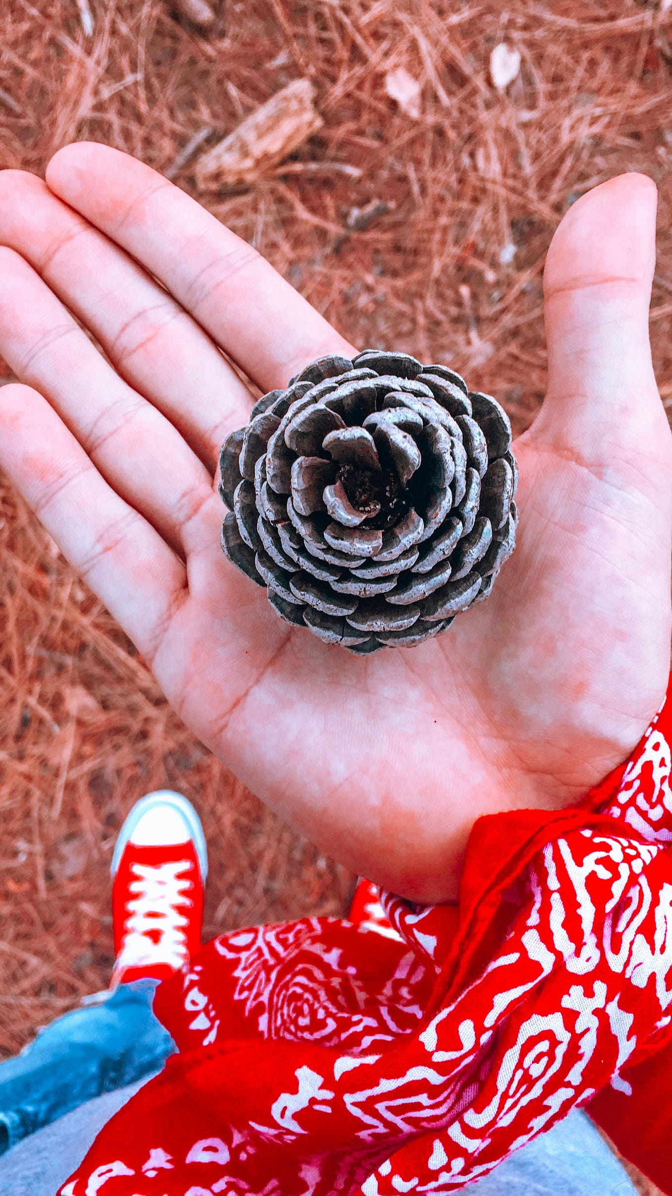 5 Weird Hacks That Changed My Writing Life | by 1Spot | Write A Catalyst | Sep, 2024 | Medium