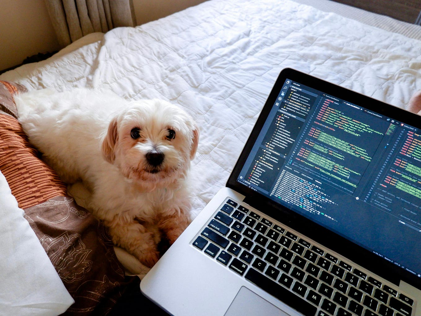 How to make your first REST API in Node.js | by HolaSoyMalva | Medium How to make your first REST API in Node.js | by HolaSoyMalva | Medium