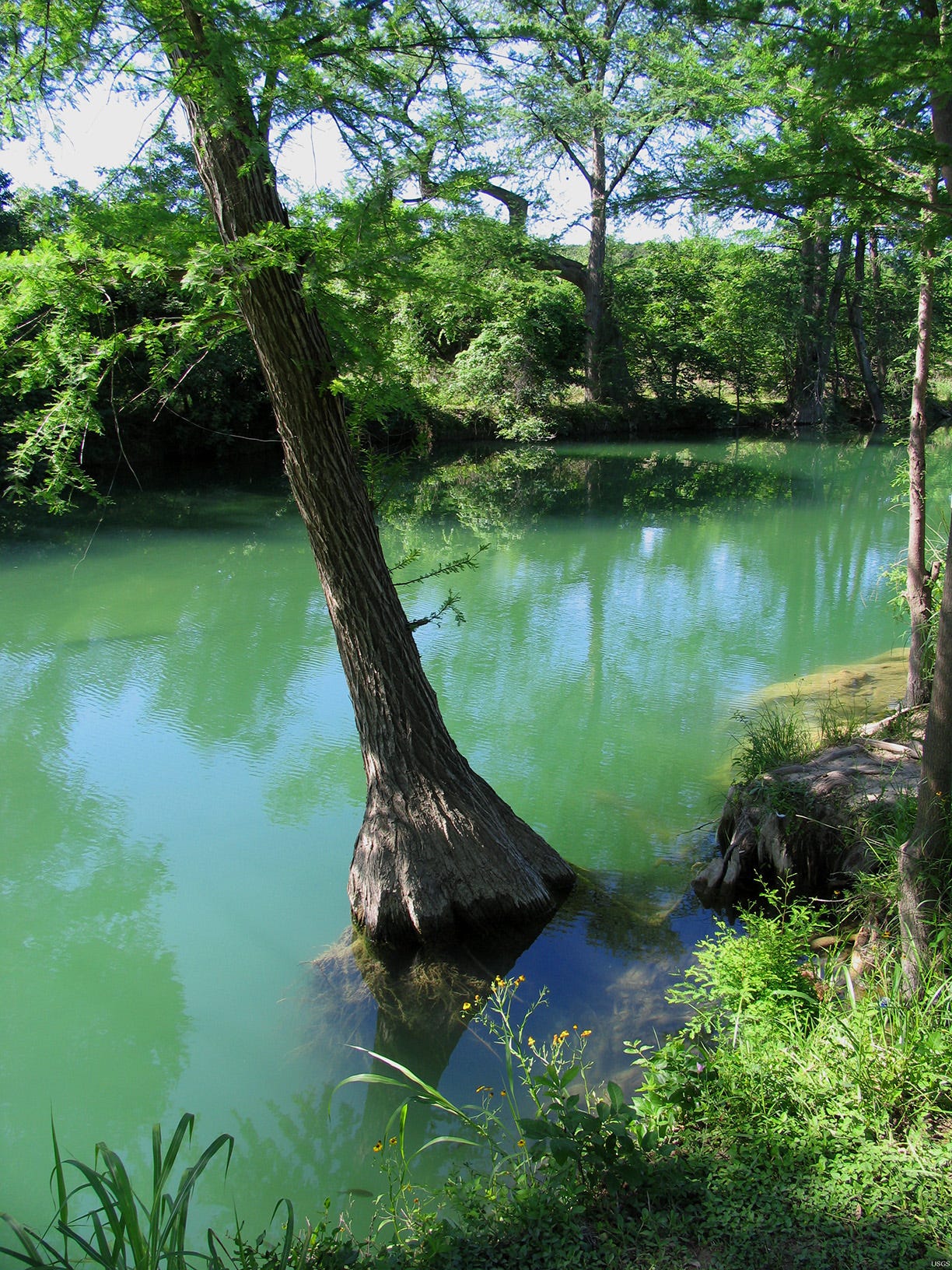 Getting to Know Your Texas State Veterans Cemetery at Abilene | by Texas VLB | Texas Veterans ...