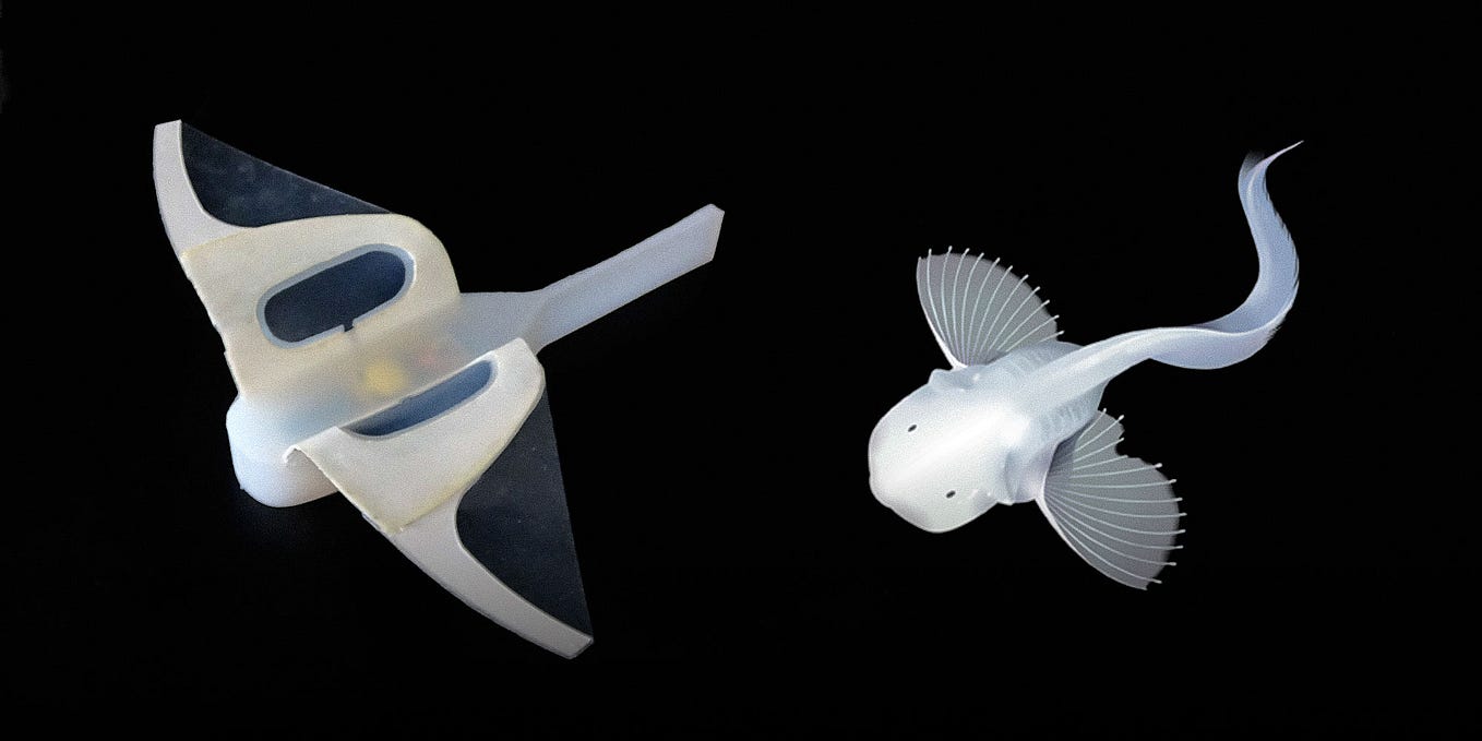 Shinkansen: The bullet train inspired by Kingfishers | by Jolie Li | UX ...