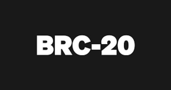 What are the Brc20 tokens?. Since the launch of Ordi tokens on May… | by BitcSwap Brc-20 Swap ...