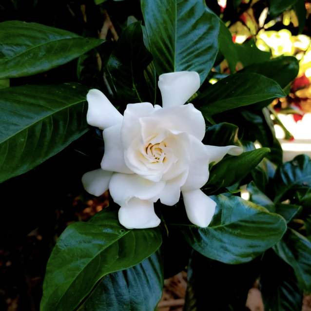 How Libraries Help Teens Tackle the Job Search | by Laura Kathryn ...