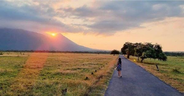 Mengenal Algoritma Binary Search. Binary search adalah sebuah algoritma ...