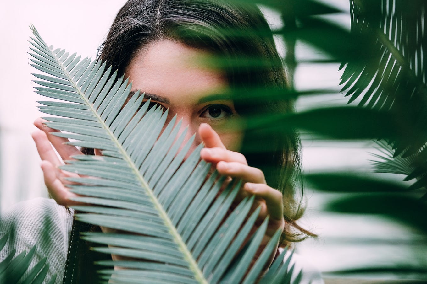 This is how many plants you need to purify your home, according to ...
