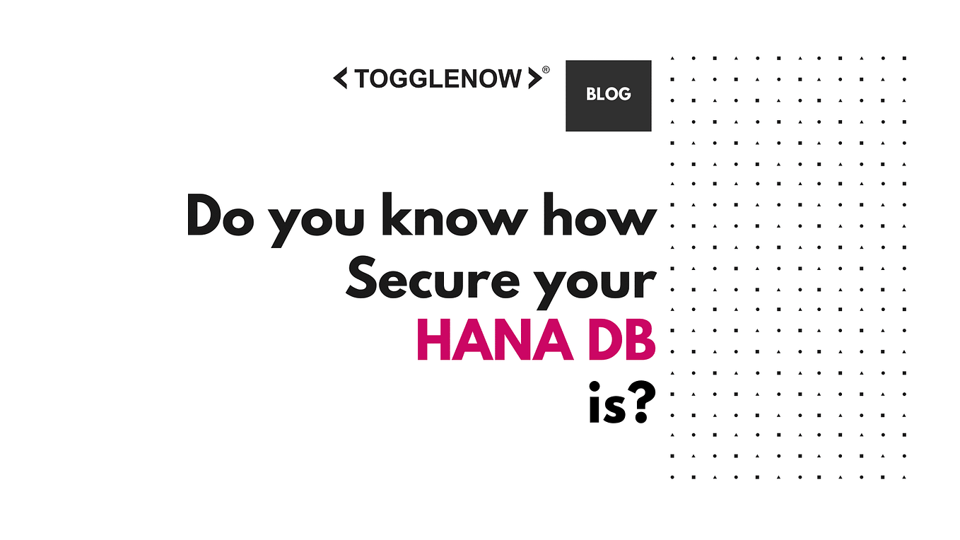 SAP Security Services & Solutions | SAP S4 HANA Security | ToggleNow ...
