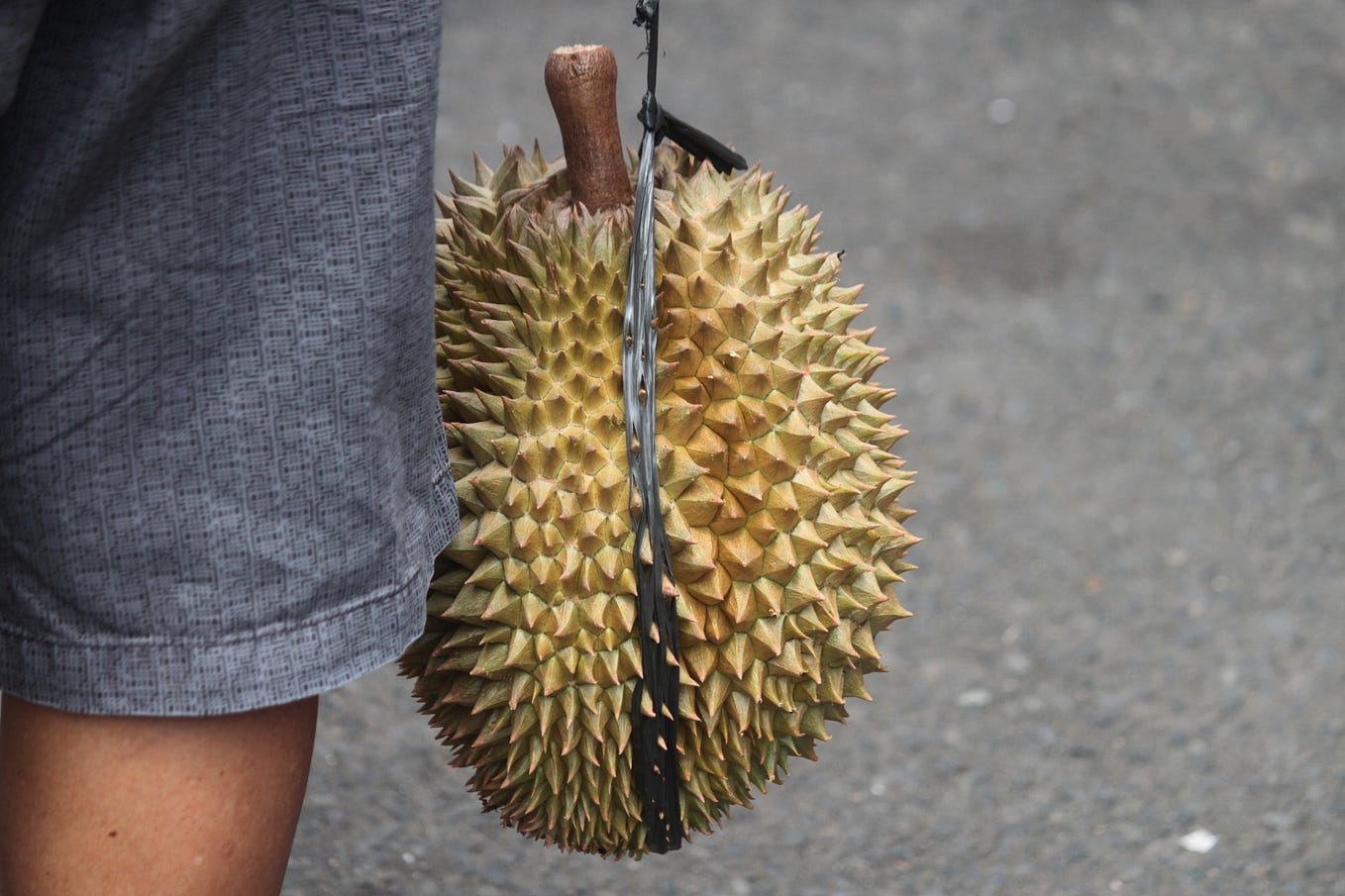 Durian Fruit: The World’s Most Misunderstood Tropical Fruit | ILLUMINATION