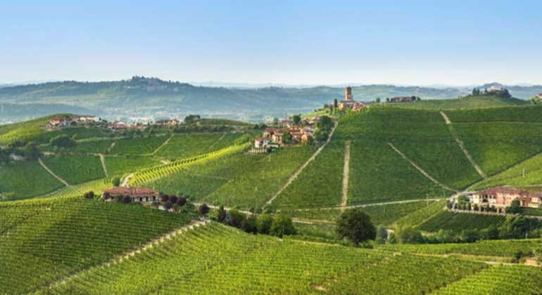 Revisiting Chateau Lagrange with Matthieu Bordes | by Wine Training ...