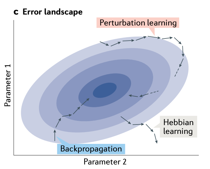 Psychopy. A Tutorial for Machine-Motivated Human… | by Syed Suleman ...