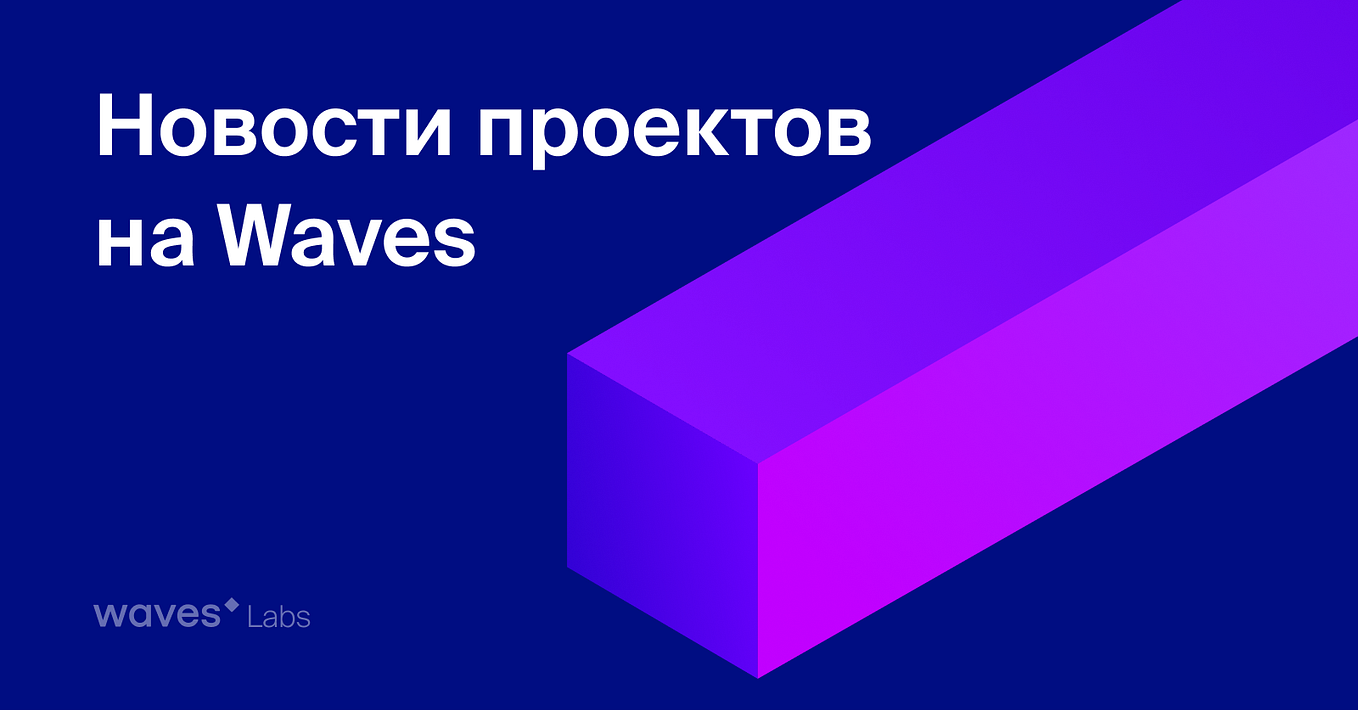 Waves Grants: Participants’ Progress | by Waves Labs | Waves Labs | Medium