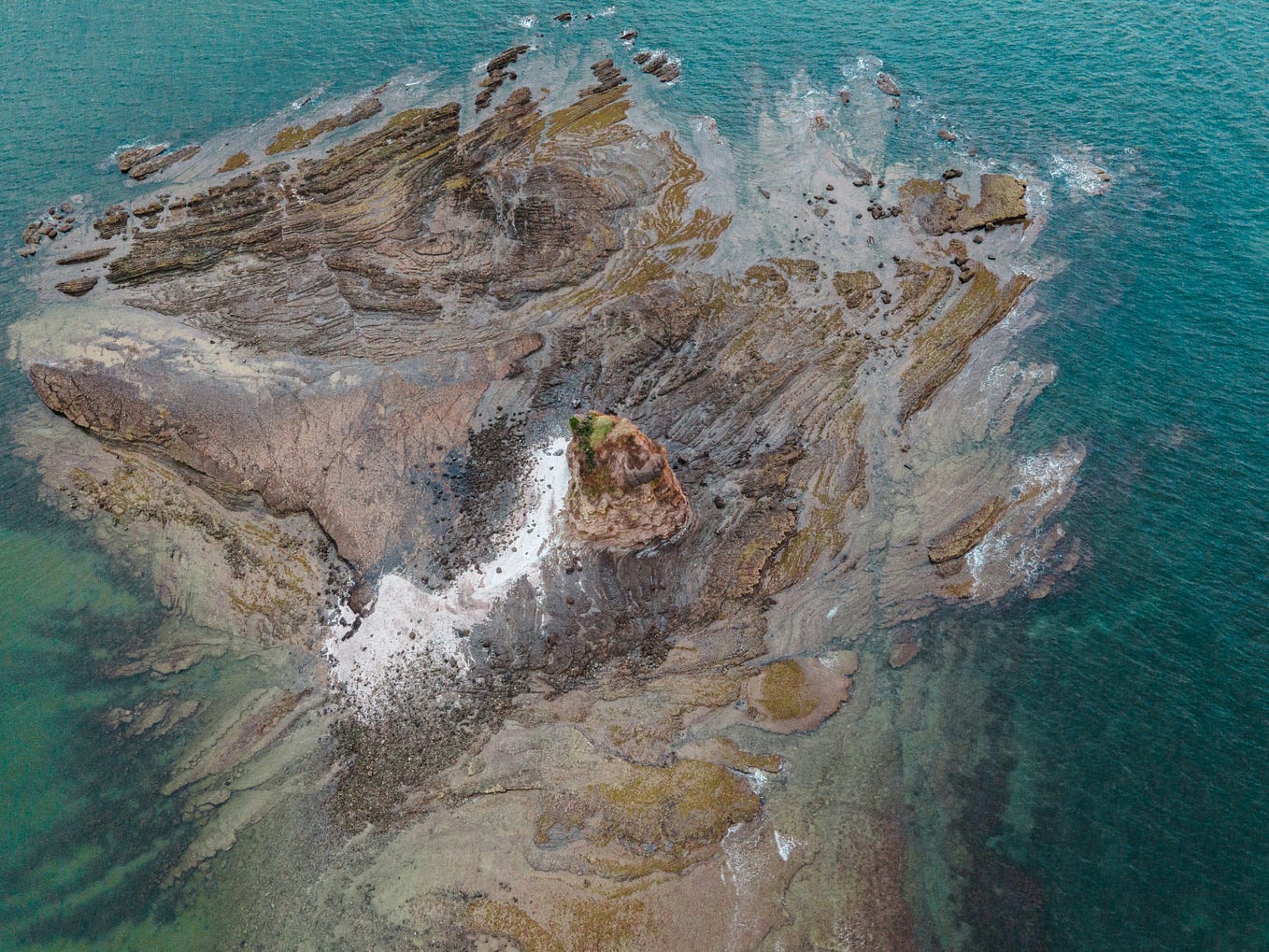 I asked AI to explain “Life”. what happens when AI is asked one of ...