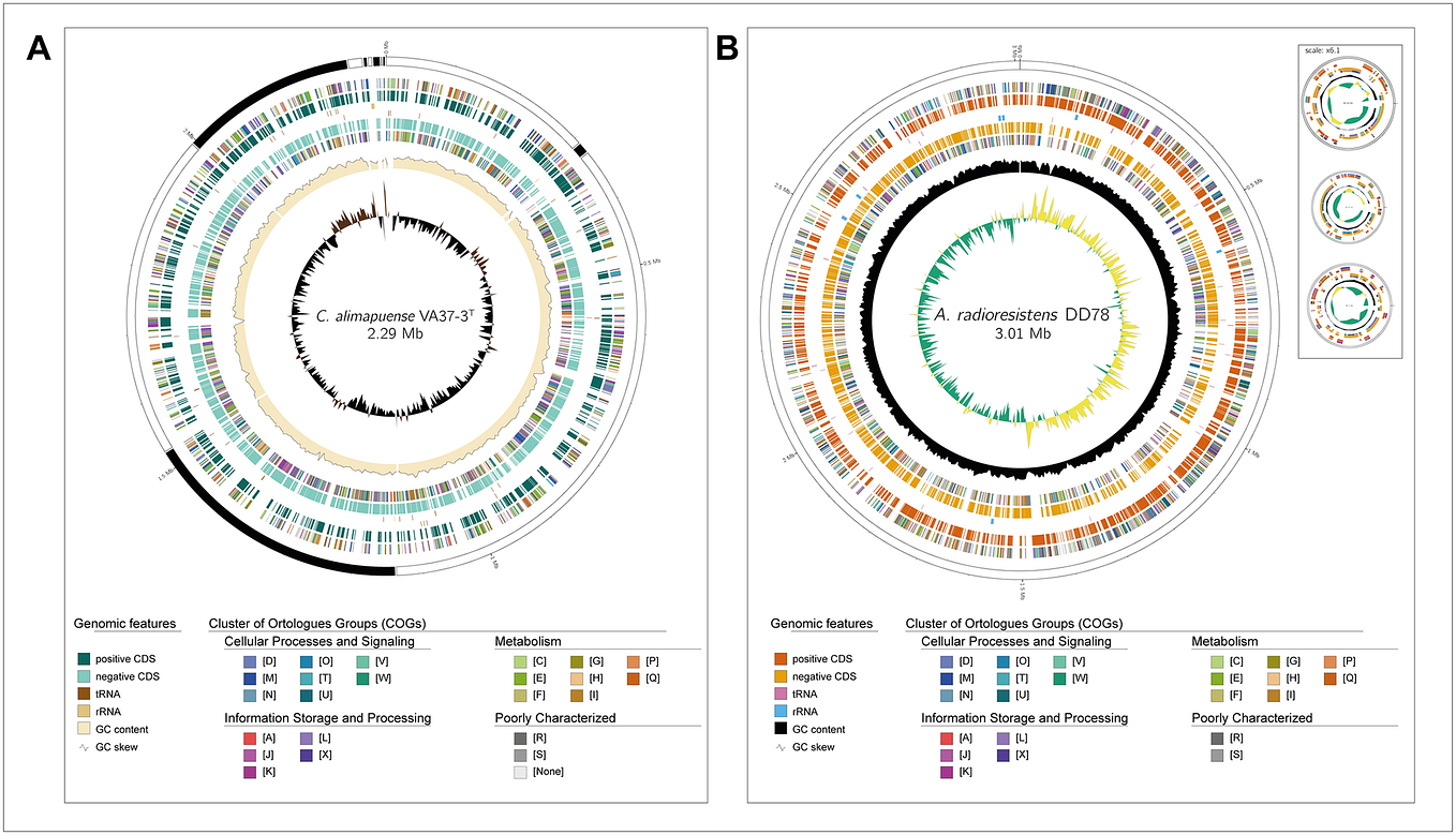 Training Protein Embeddings Simple Walthrough using ProtBert Example ...