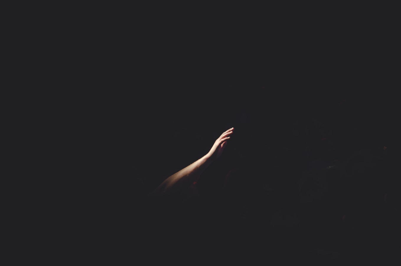 The Separation of the Fool | by Nicole Hardcastle | Medium