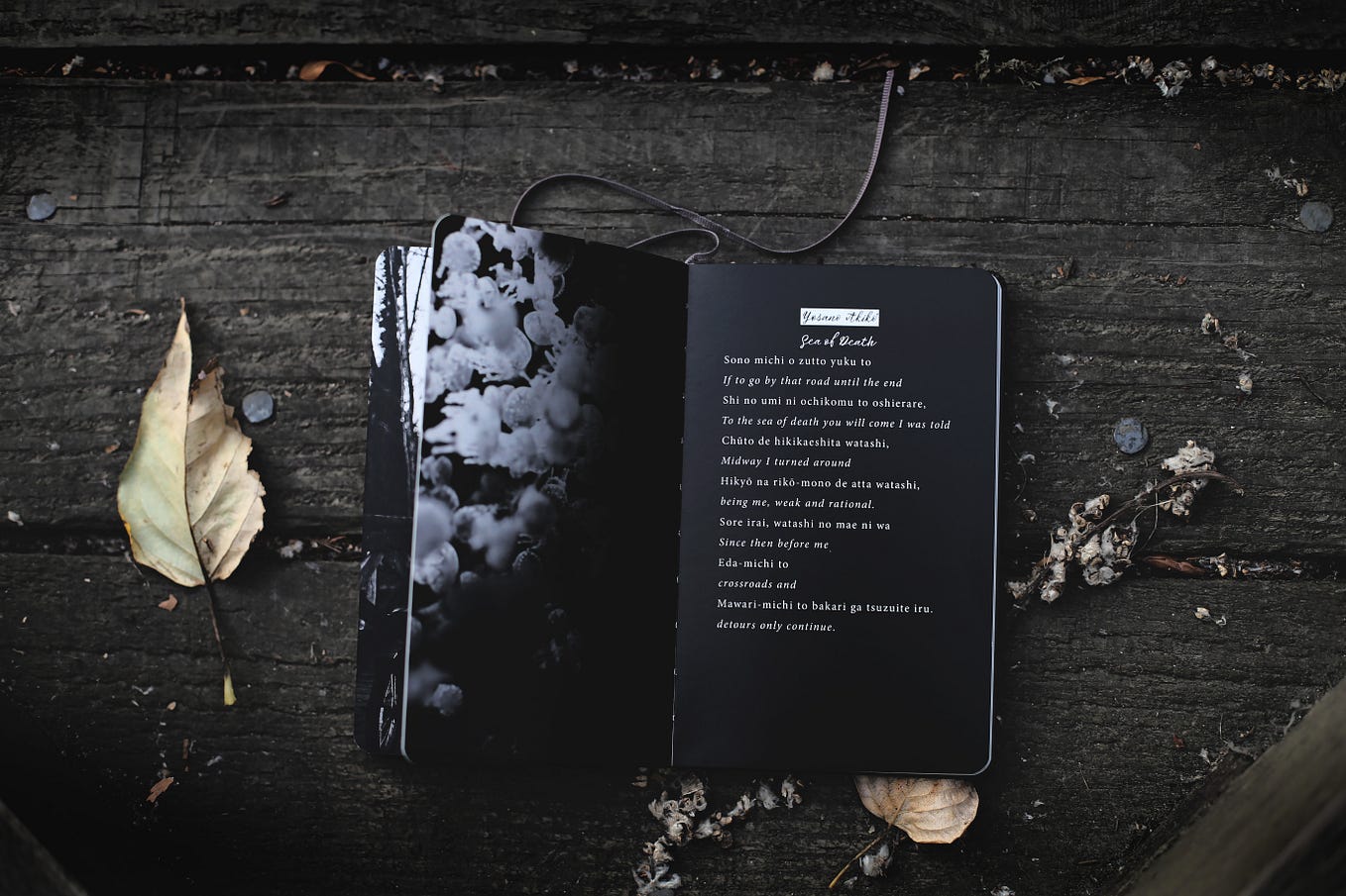 5 Tips for Poets: How to Improve Your Poetry Writing Skills | by ...