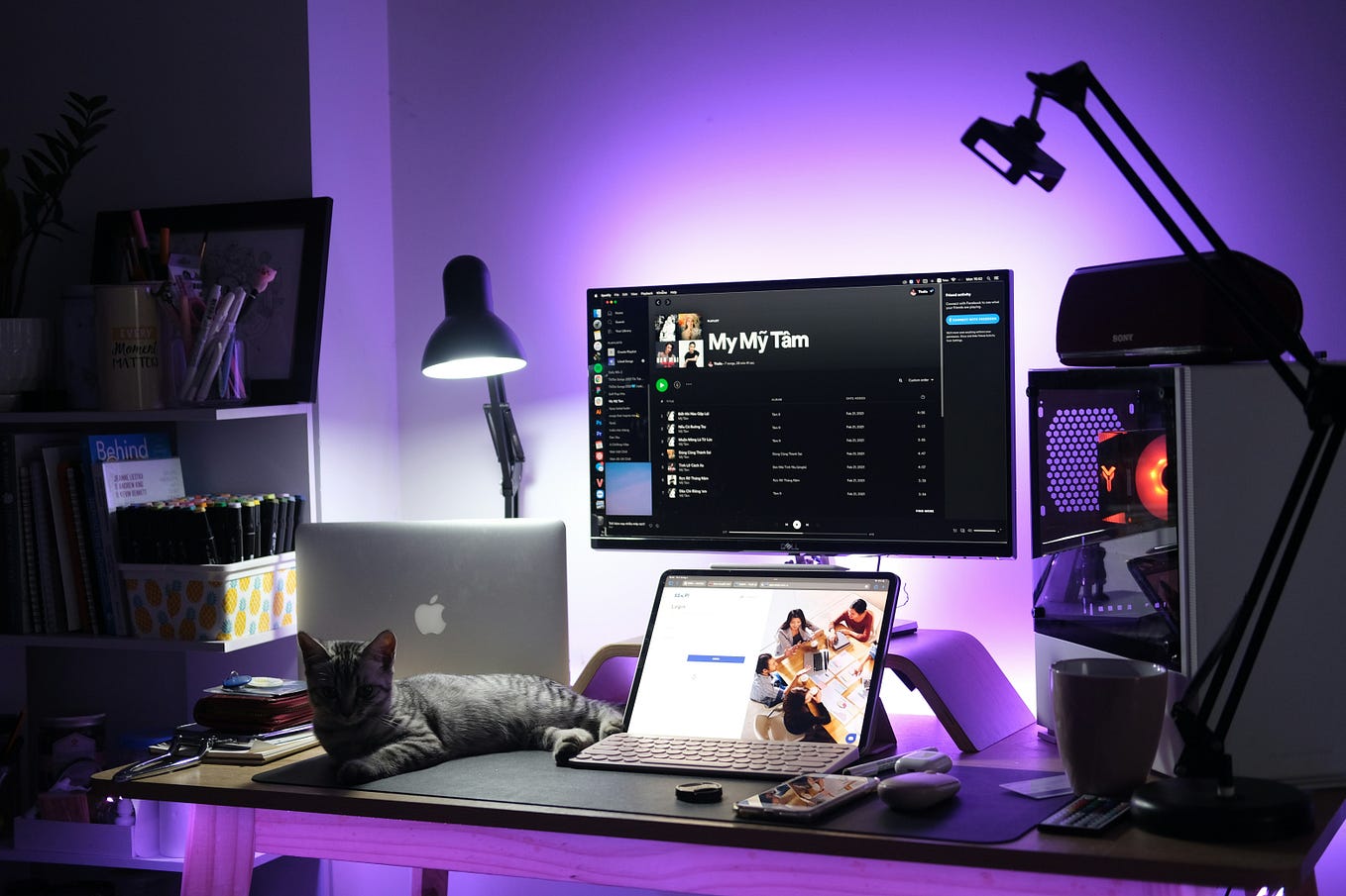 How To Create A Youtube Downloader With Nodejs And Reactjs By
