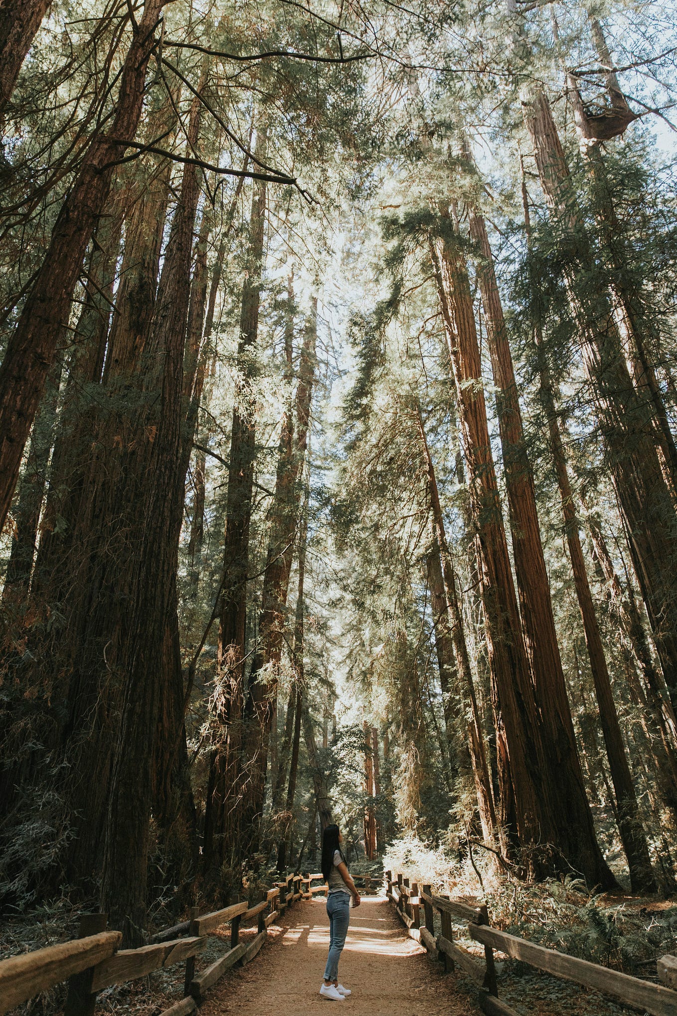 The Word “Sonder”. Its meaning, a poetic example, and a… | by John ...