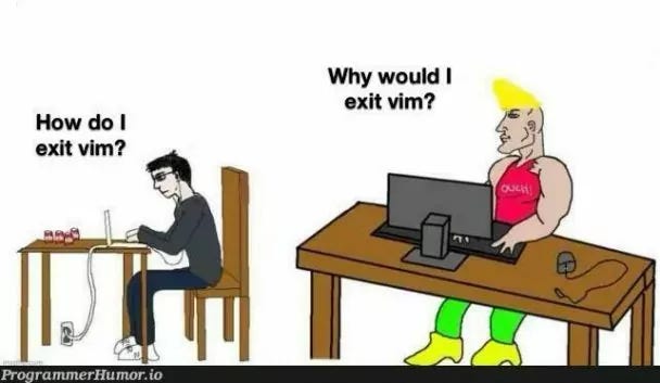 Vim 101: What is the Leader Key? | by Alex R. Young | usevim | Medium