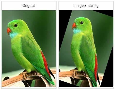 Mastering Data Augmentation in Deep Learning with Python: The Ultimate Guide to Augmentation ...