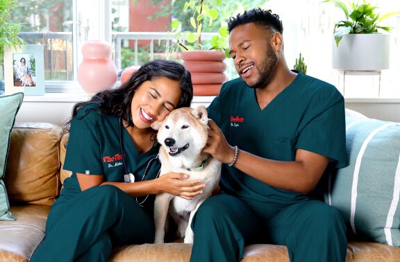 Contact Us - The Vets - At-Home Pet Care - Medium