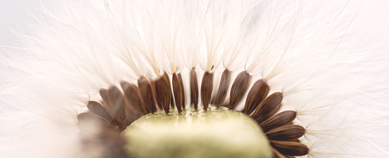 Building a Recommendation System Using Machine Learning and AI: A Step ...