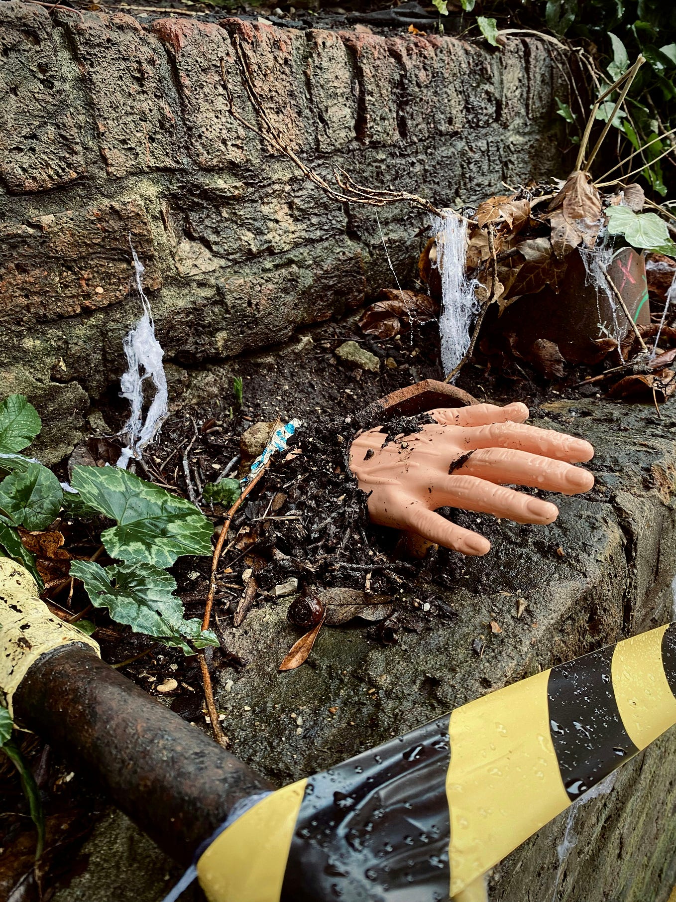 No no, it has to be a video of you swimming in it and taking sips from it, like Earl Grey tea ...