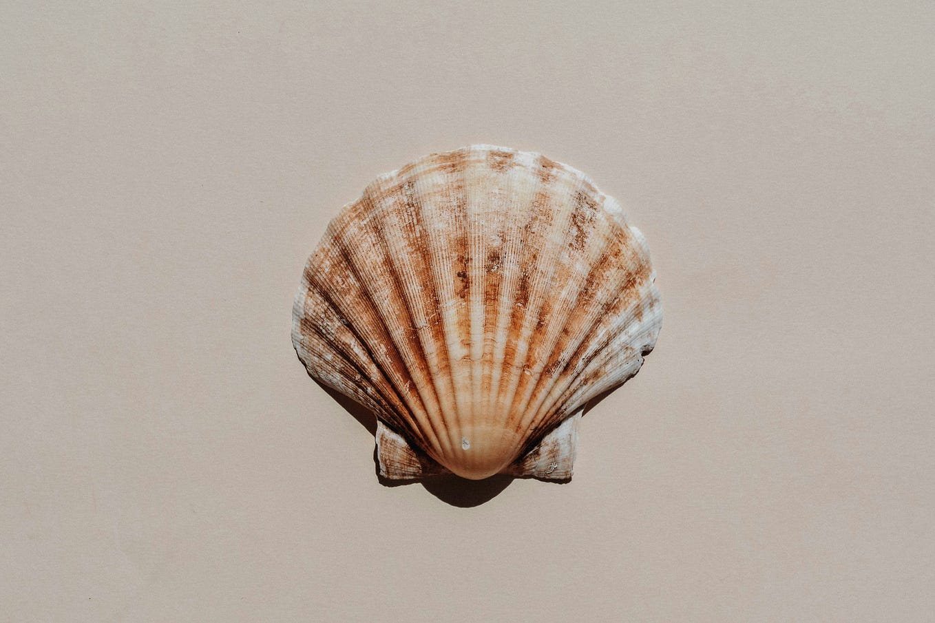 Shell Scripting: Floating-point numbers | by Samuel Kadima | Medium Shell Scripting: Floating-point numbers | by Samuel Kadima | Medium