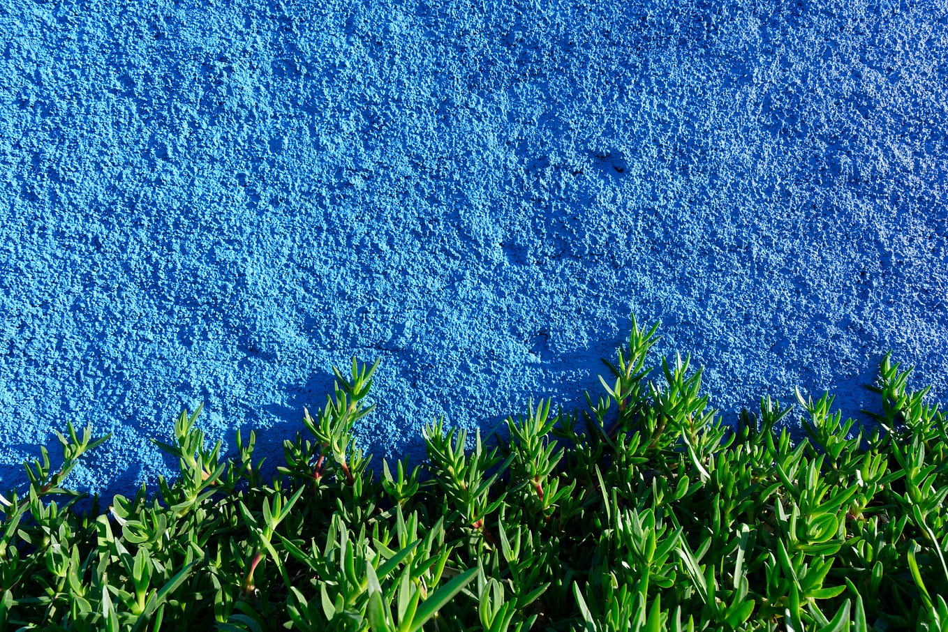 Fetch API Data on Button Click in React. | by Wangui Waweru | Medium