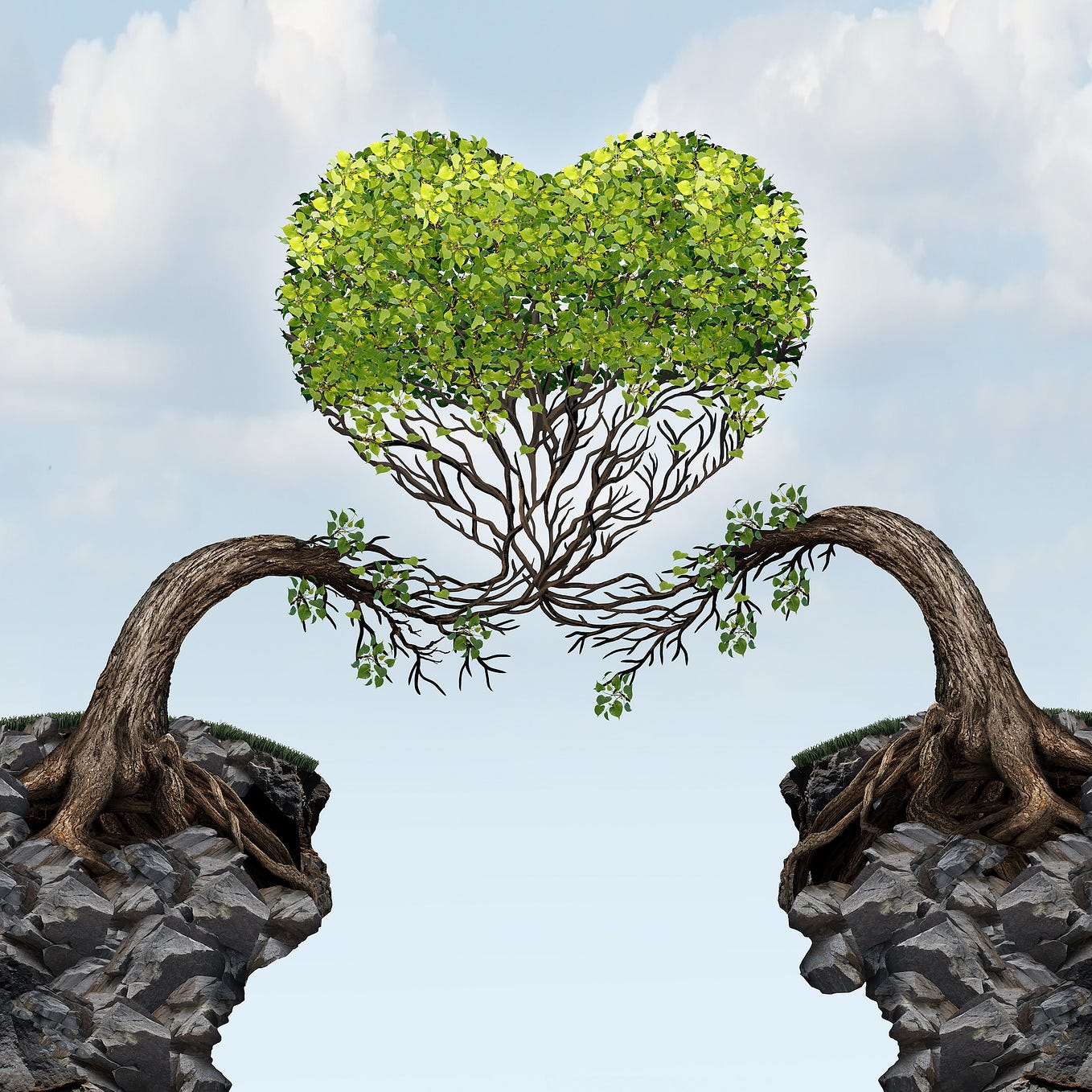 Two Ways of Assessing: The difference between judgment and observation ...