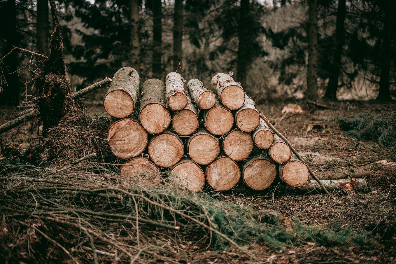 Efficient Parallel Execution Of Mongodb Queries In Python By Praveen