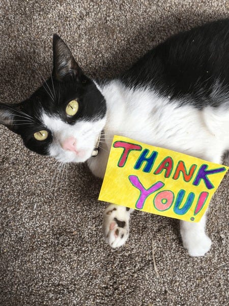 How to create my first Backend Project with Node.js | by HolaSoyMalva | Medium