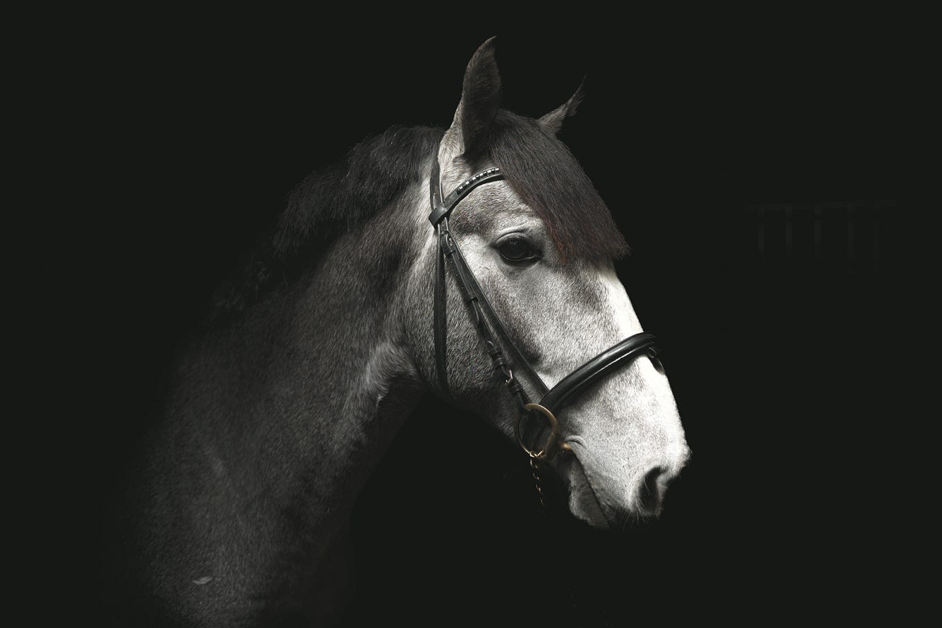 Horse Sense of the Apocalypse, Part 2 | by Benjamin S. Wells | Medium