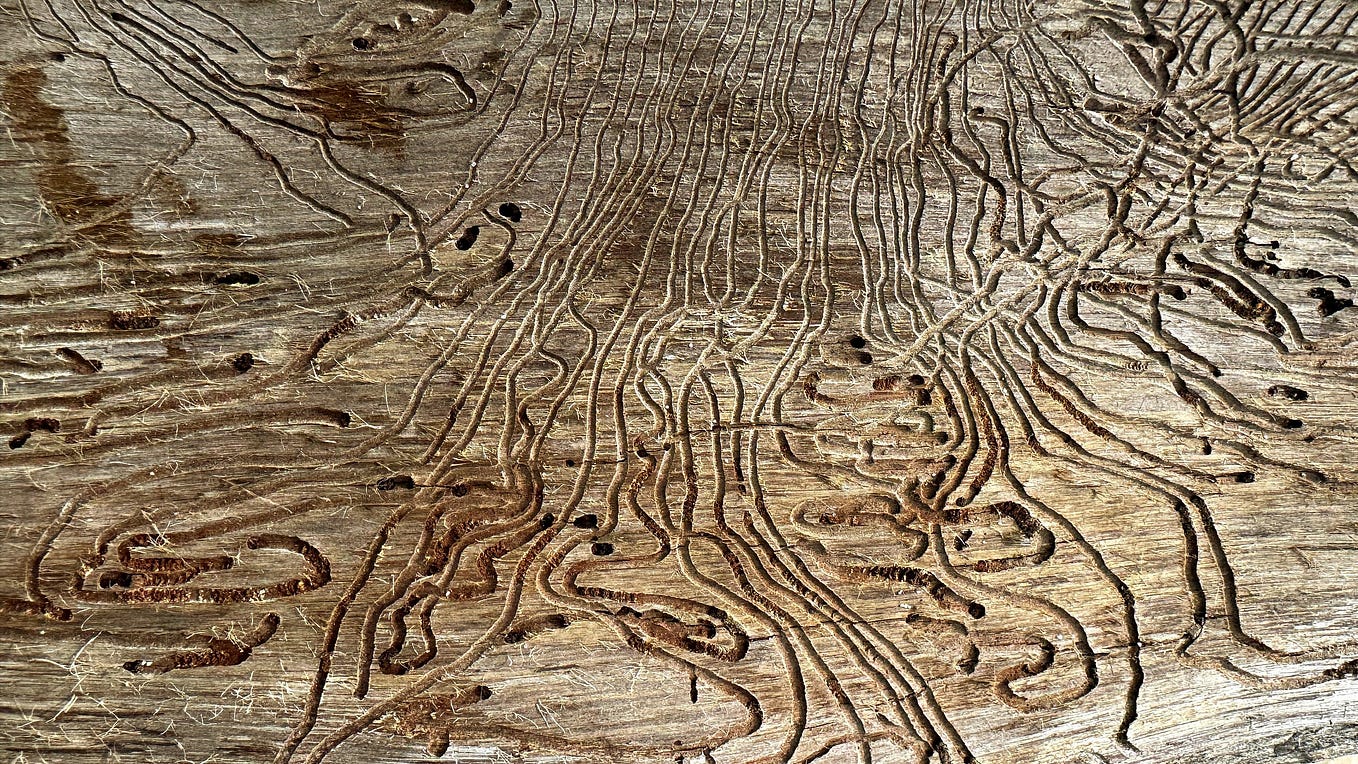 Hardware Emulation Platforms — Zebu and Palladium | by Tsungyu Liu | Medium