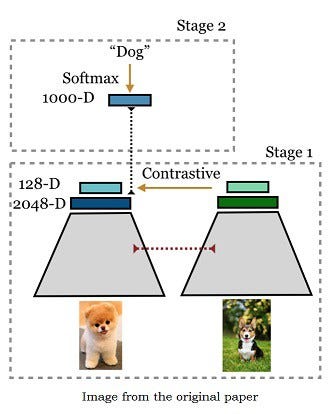 Point Transformer (paper review). Review of paper by Hengshuang Zhao¹ ...