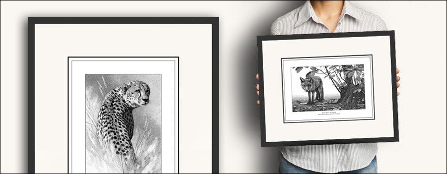 The Basic Skills of Drawing: Learn to Draw For Beginners | by Kevin ...
