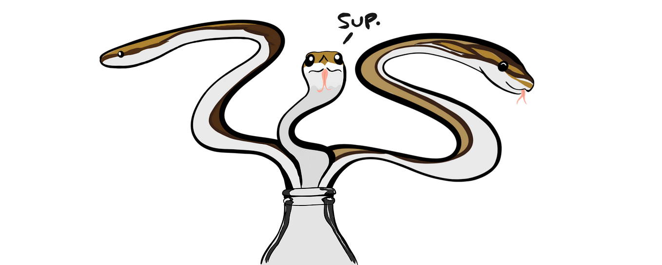 Best Practices for Writing Industry Standard Python Code | by Anmol ...