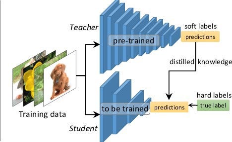 Out-of-Distribution Detection in Deep Neural Networks | by Neeraj Varshney | Analytics Vidhya ...