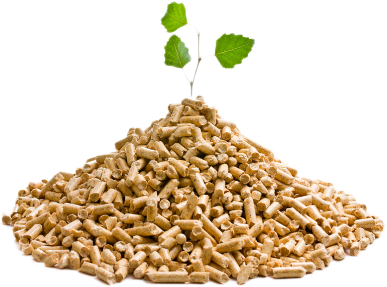 Exploring the Sustainable World of Biomass Pellet Manufacturing | by ...