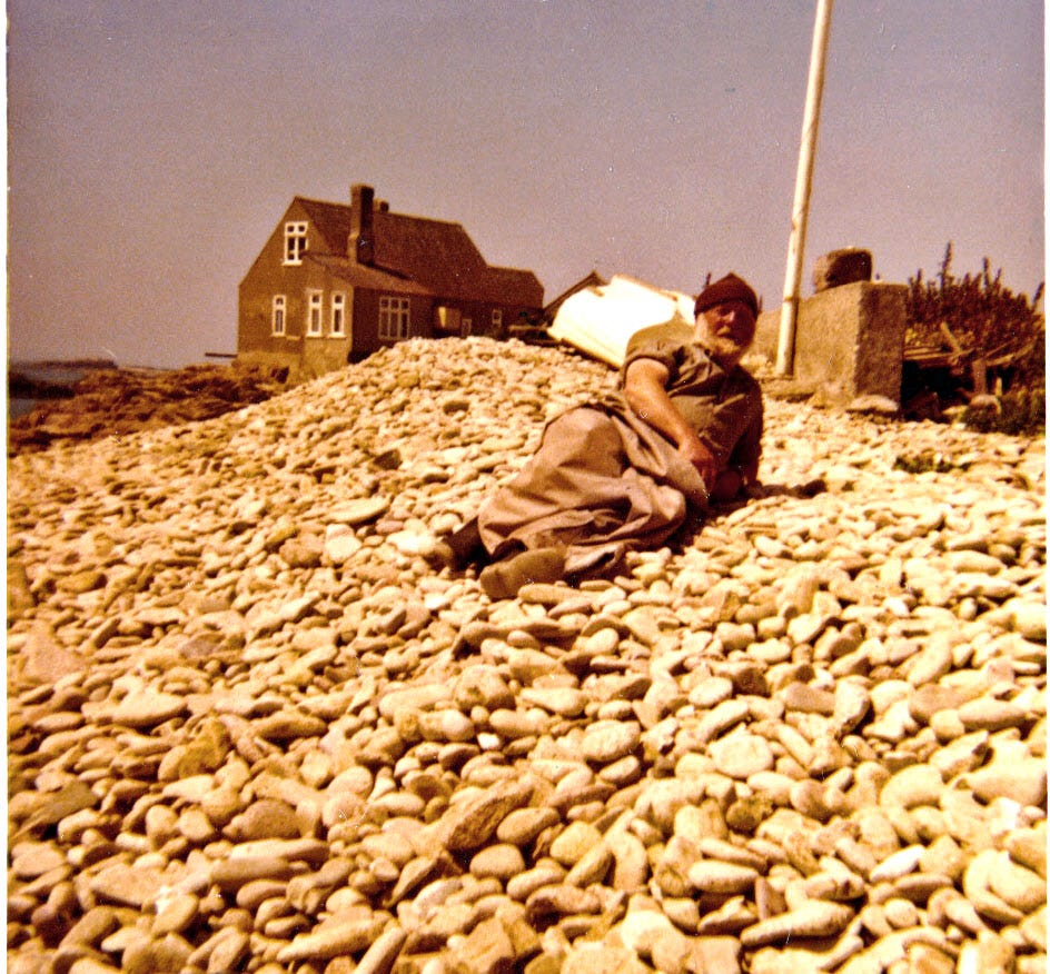 What Happened on Earth Right After the Dinosaurs Died? | by Sal | Lessons from History | Medium