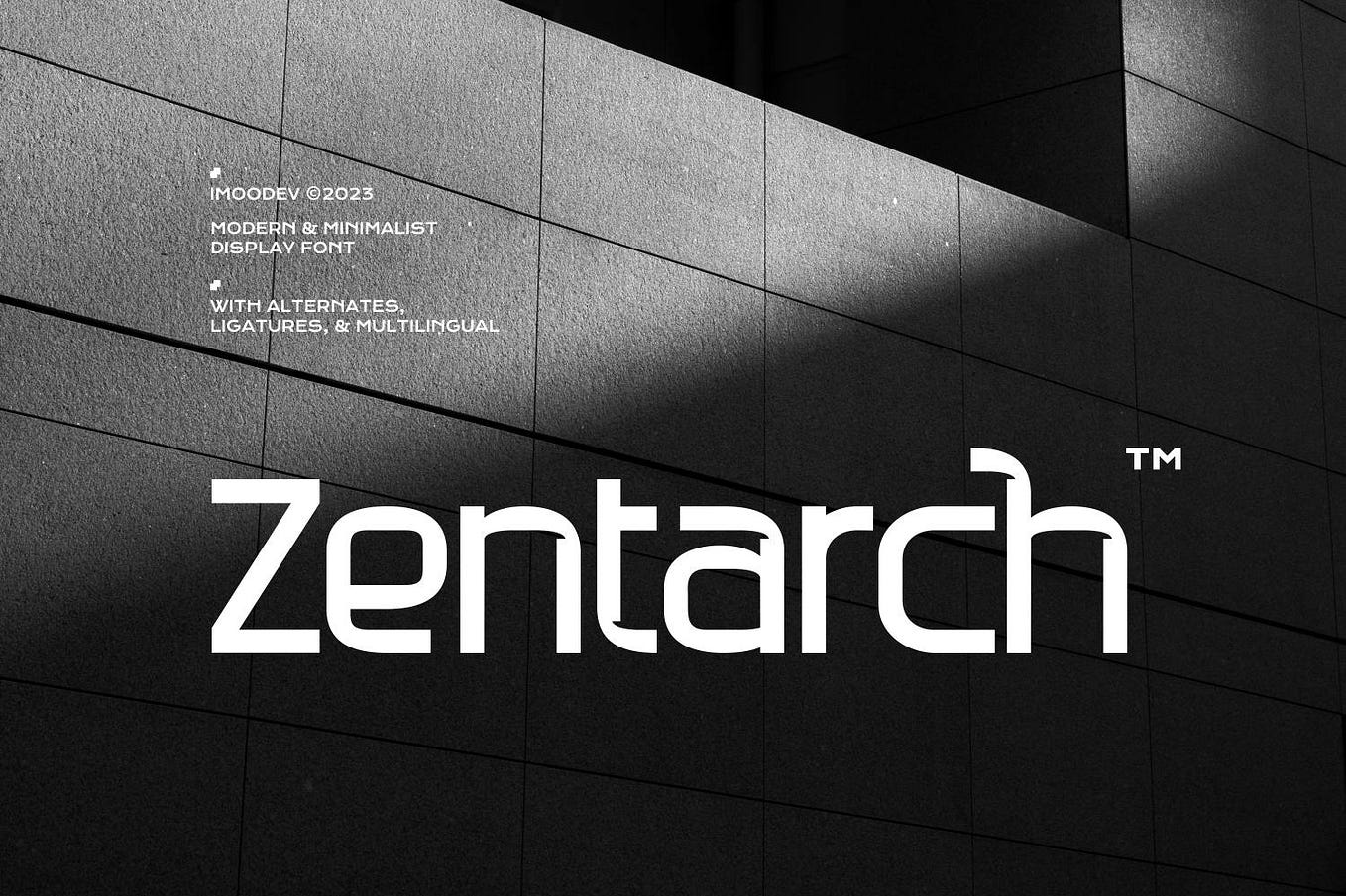Conigen Modern Sans Serif (Sans-Serif Font) | by Gracegossamer | Apr ...