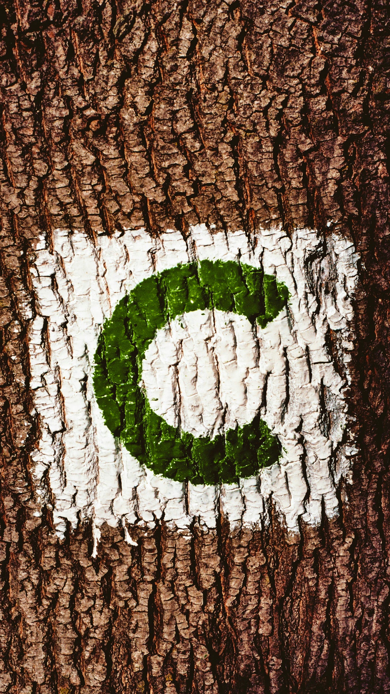 Setting up an Ad-Hoc Mesh Network with Raspberry Pi 3B+ using BATMAN ...