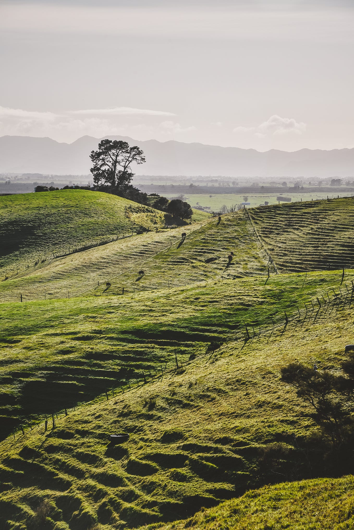 My Stoic-Inspired Principles for 2023 | by Joseph Soares | Medium