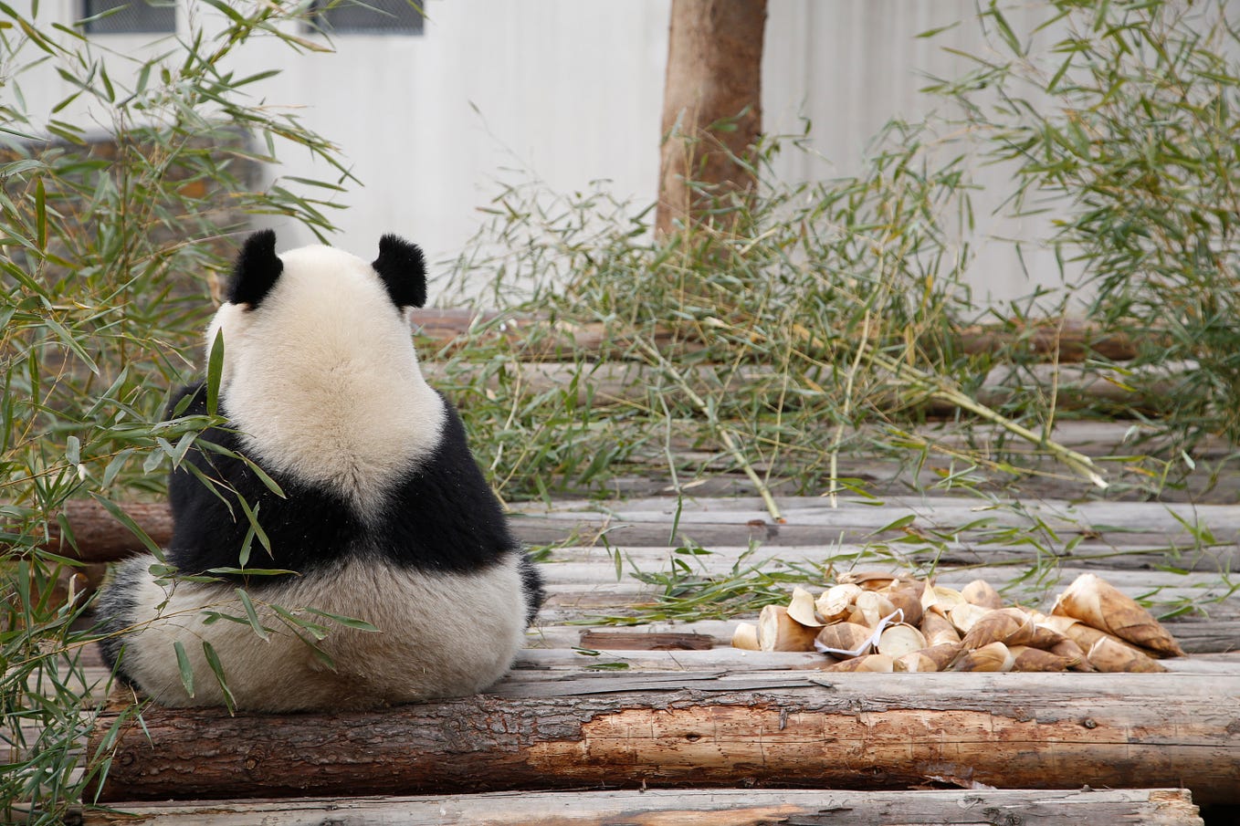 Python and Parquet performance optimization using Pandas, PySpark ...