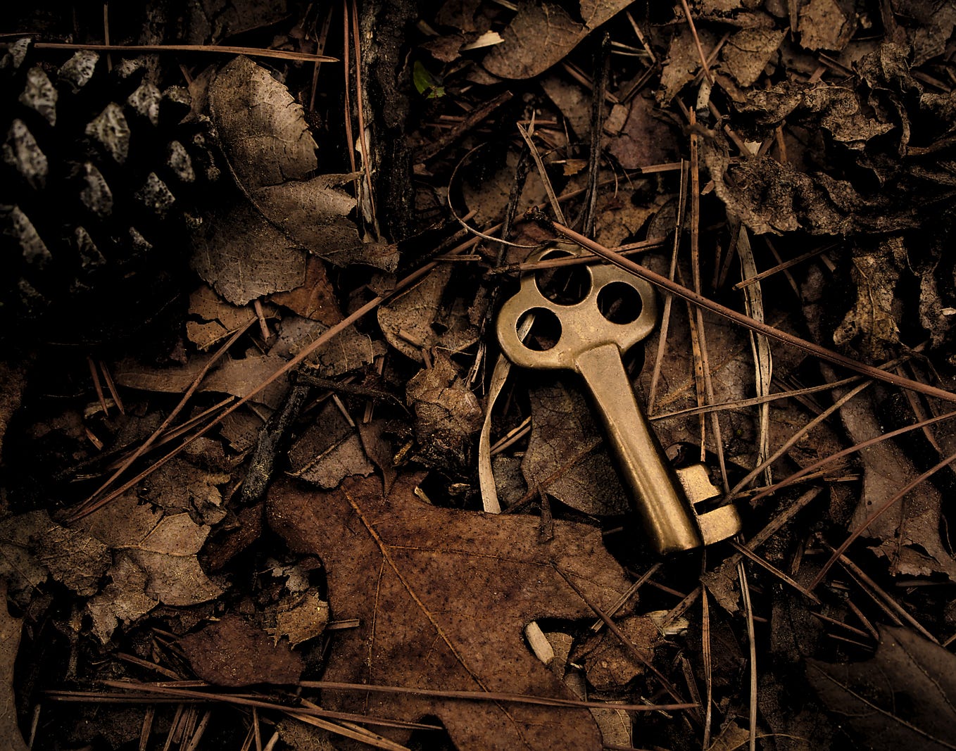 Guide To Setup Python Environment And Understanding Python Idle By Sue